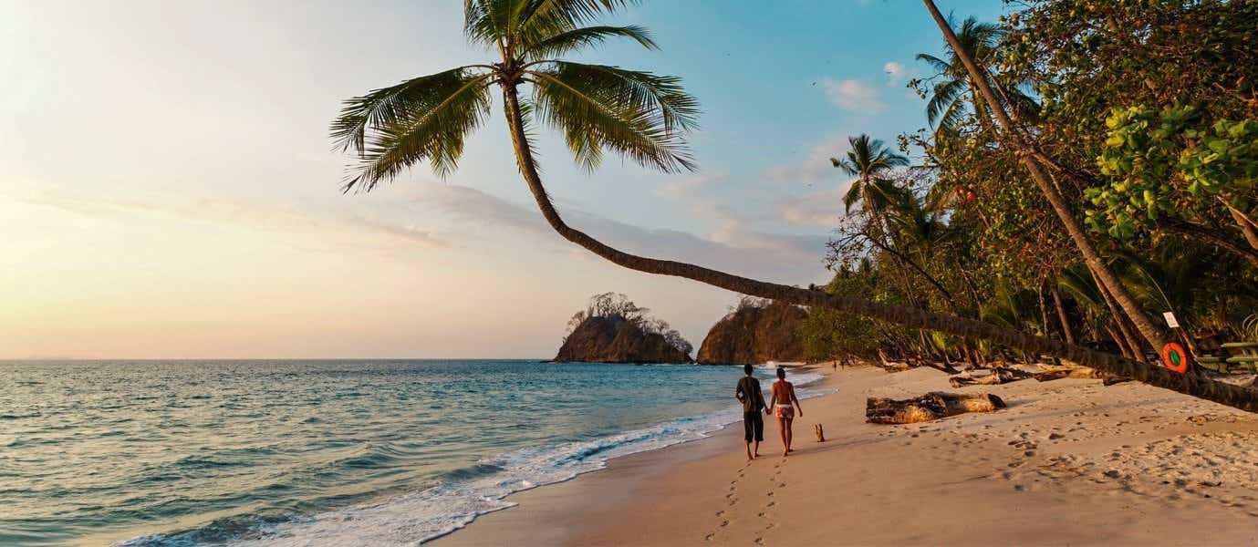 Costa Rica Tours: Tropical Rainforests & Beach Escape - Exoticca