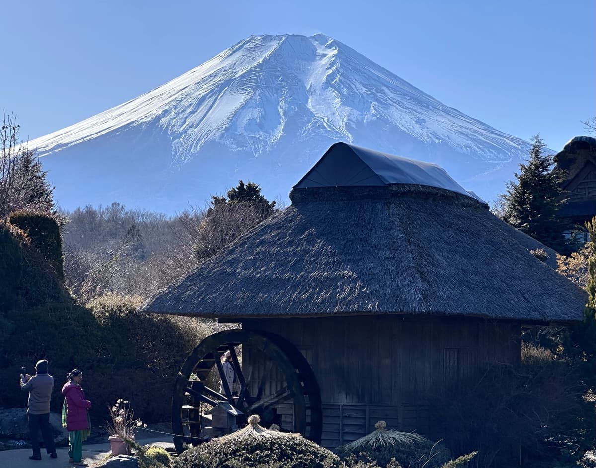 A taste of Japan: Tokyo, Kyoto & Osaka
