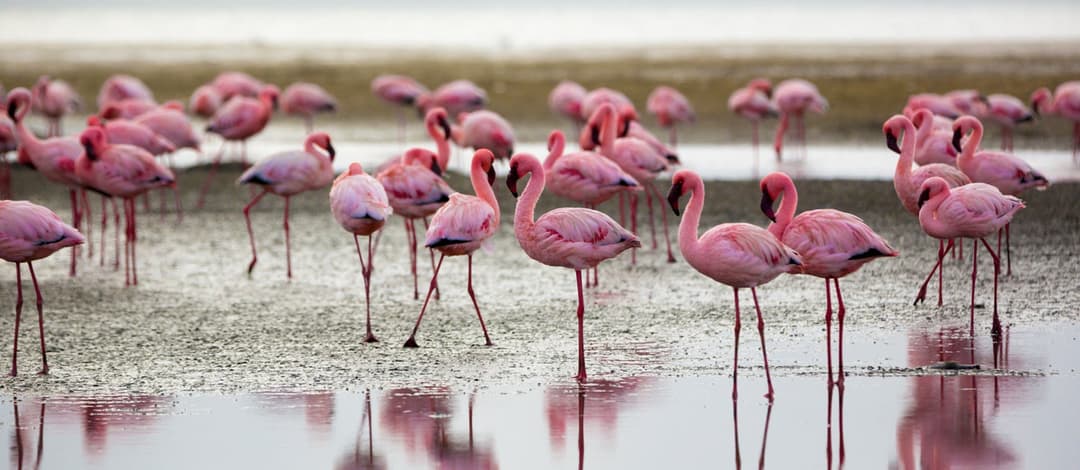 Namibia Holiday Packages & Tours All Inclusive from the UK 2026/2027 ...