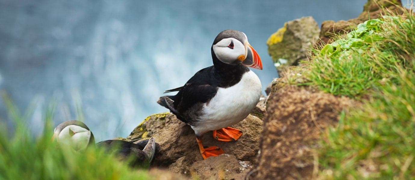 Iceland Vacation Packages with Airfare, Hotels & Tours 2026/2027