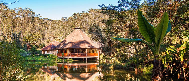 Madagascar Vacation Packages & Tours All Inclsuvie | Exoticca