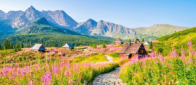 Poland Vacation Packages with Airfare, Hotels & Tours 2026/2027