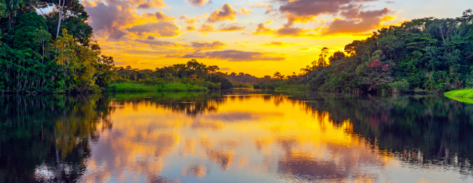 Tours of the Amazon Rainforest: Best destinations - Exoticca Blog