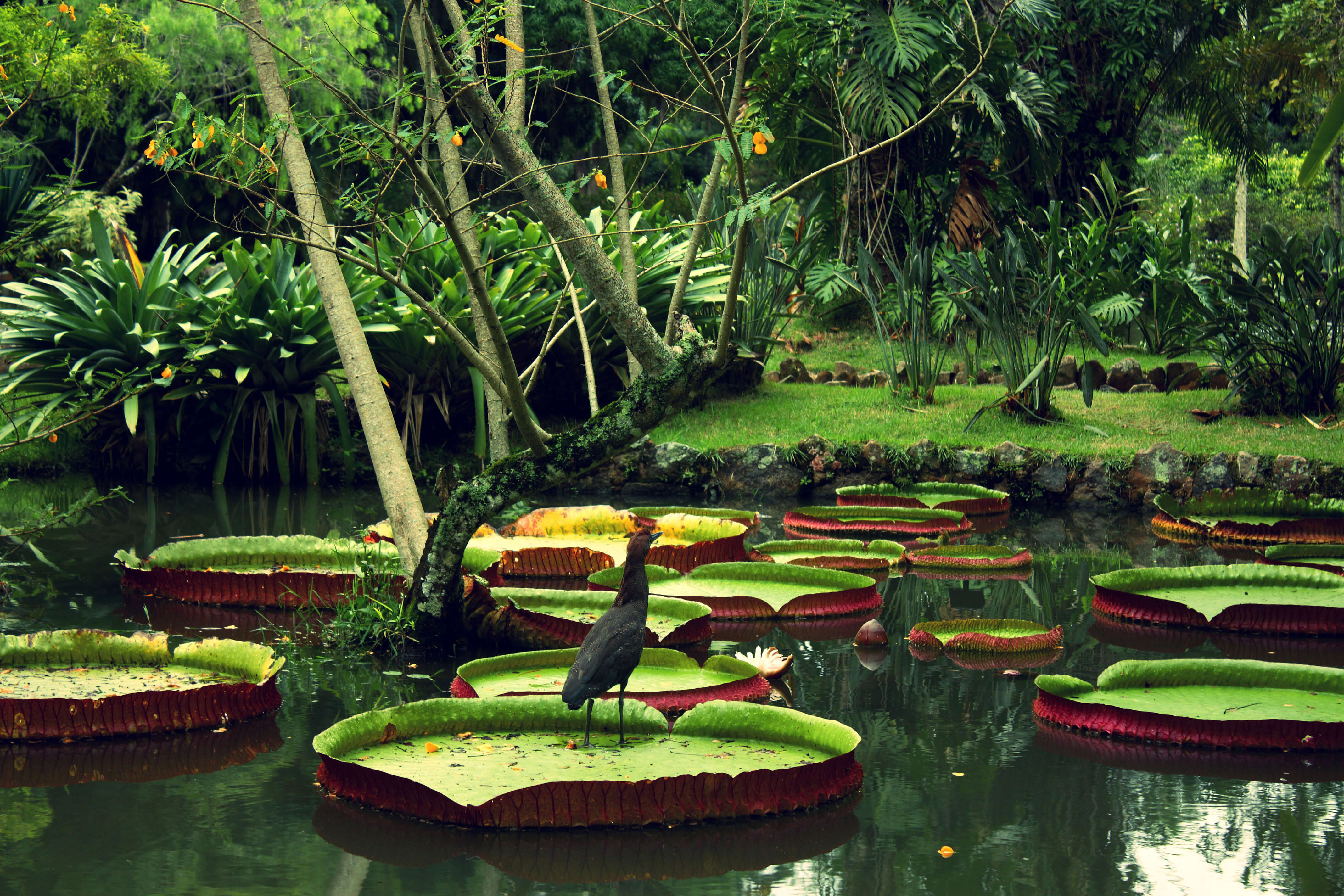Top Exotic Destinations